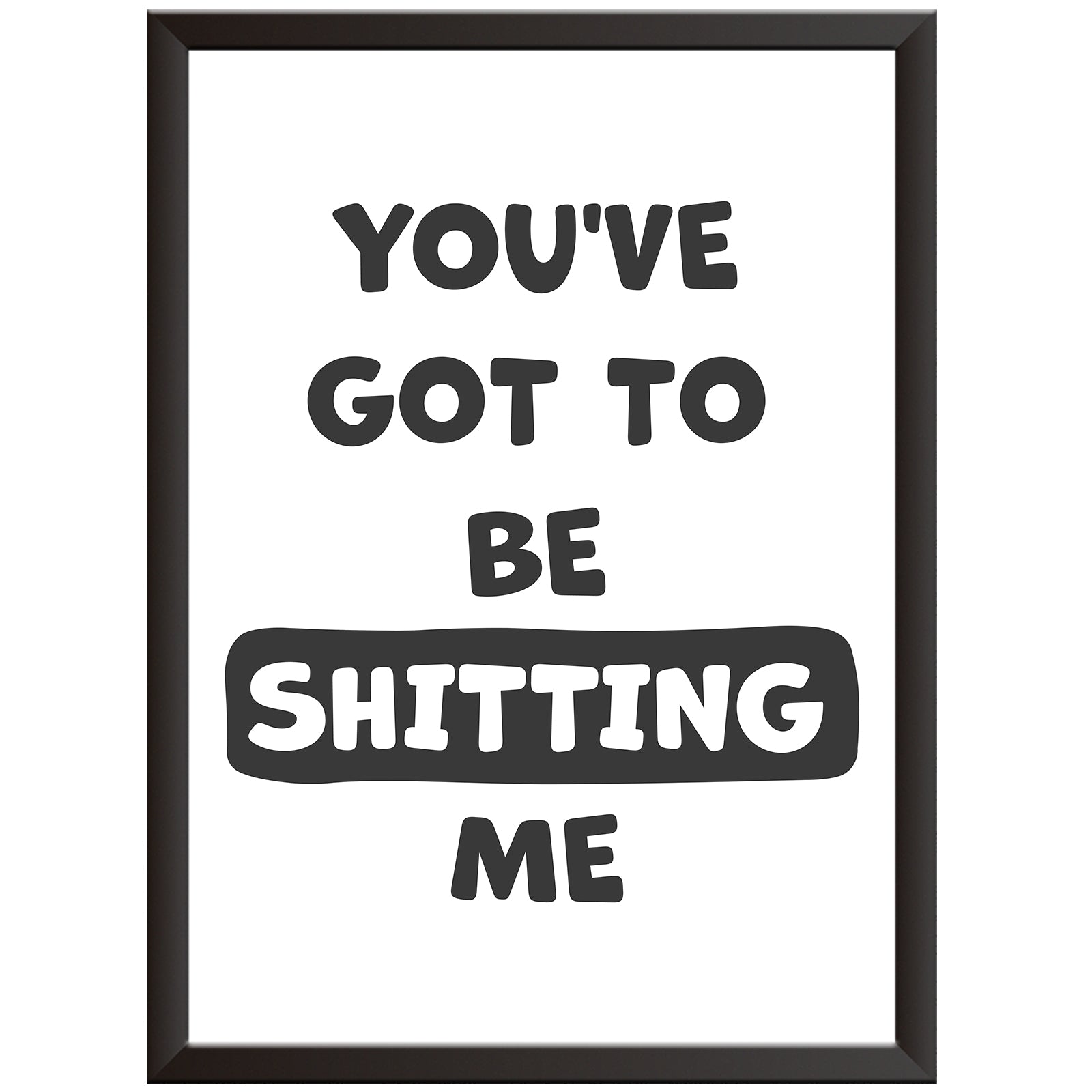 You've Got to be Shitting Me - Funny Wall Art for your Home– HeyChimp